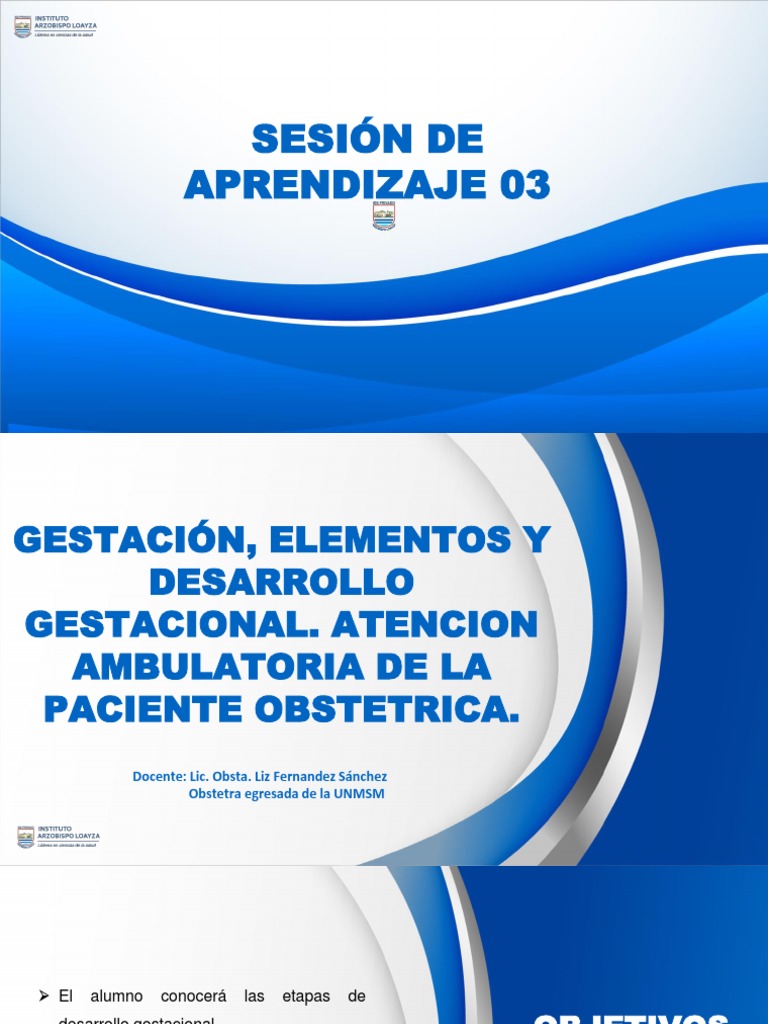 Sesion n3. Desarrollo Gestacional. Atencion Ambulatoria de La Paciente ...