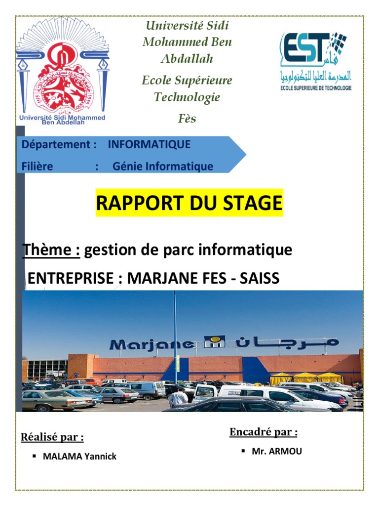 Rapport de Stage | PDF | Informatique | Logiciel