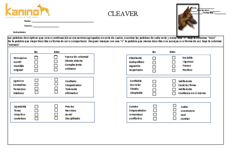 cleaver | PDF