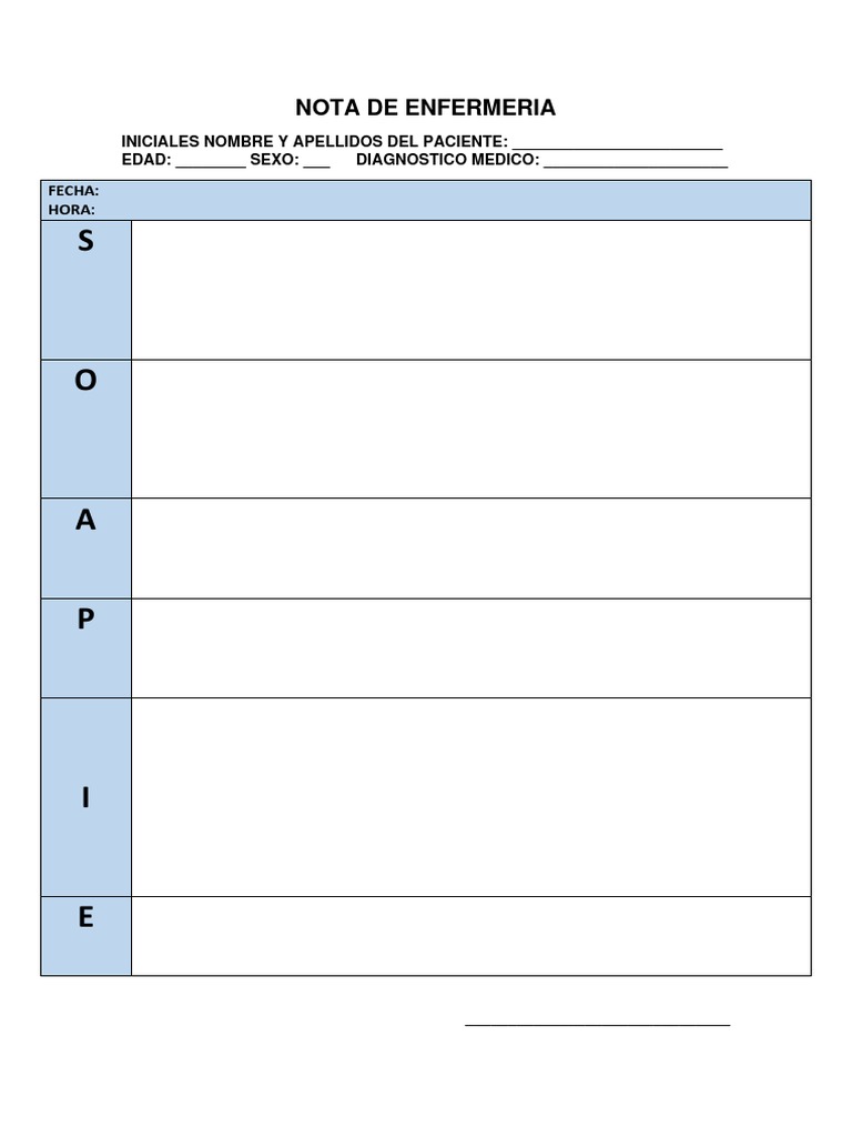 Formato de Nota de Enfermeria Soapie | PDF