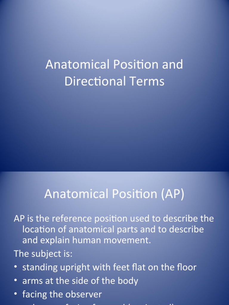 1.01. - Anatomical Position and Movements | PDF | Anatomical Terms Of ...