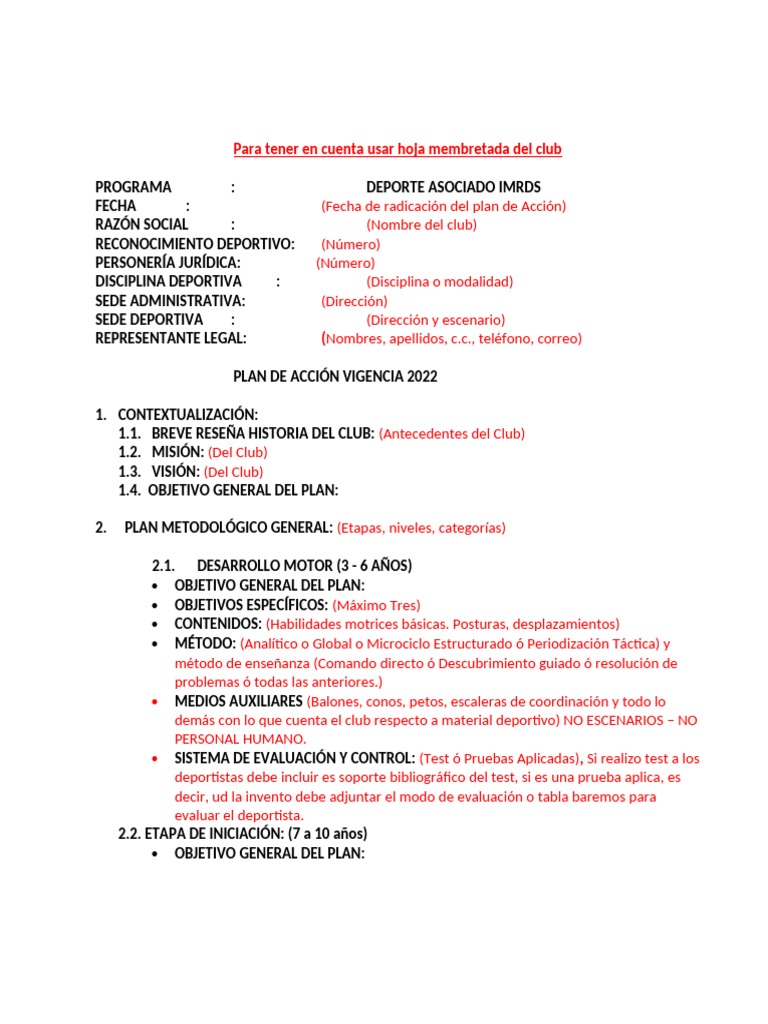 Formato Plan de Acción | PDF