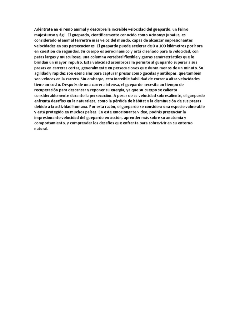 Adéntrate en El Reino Animal y Descubre La Increíble Velocidad Del ...