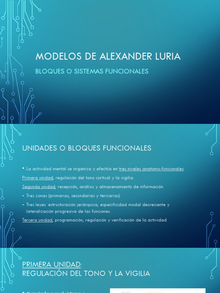 Presentación Modelos de Alexander Luria | PDF | Corteza prefrontal ...