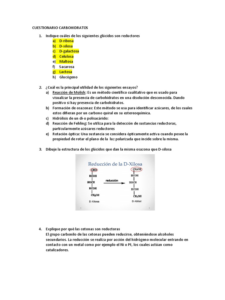 Cuestionario Carbohidratos | PDF