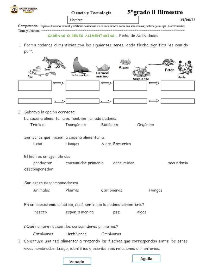 Redes Alimentarias para 5° Grado | PDF | Red alimentaria | Ciencias de ...