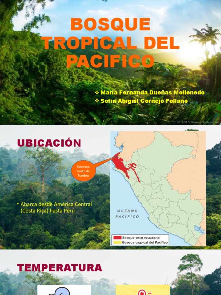 Bosque Tropical del Pacífico: Flora, Fauna y Economía | PDF