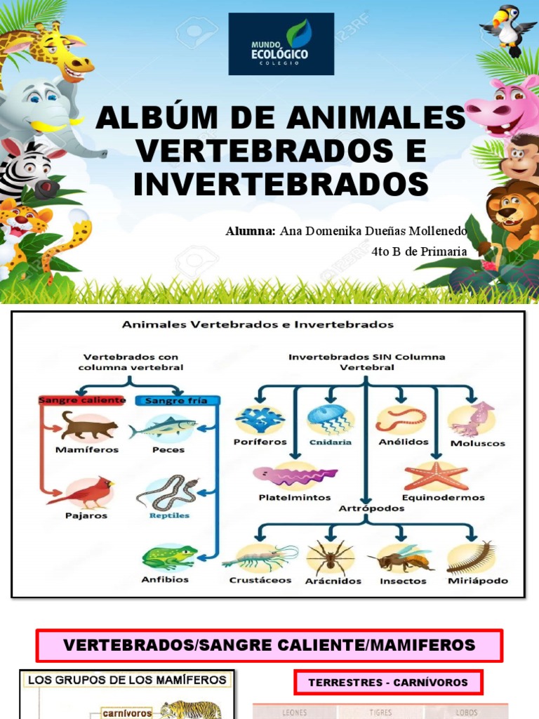 Albúm de Animales Vertebrados e Invertebrados | PDF