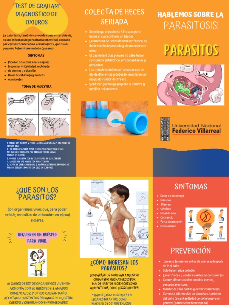 Parasitosis Intestinales Triptico | PDF | Lavado de manos | Heces