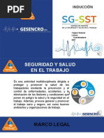 INDUCCION Seguridad y Salud en El Trabajo Diapositivas | PDF | Causas de la muerte ...