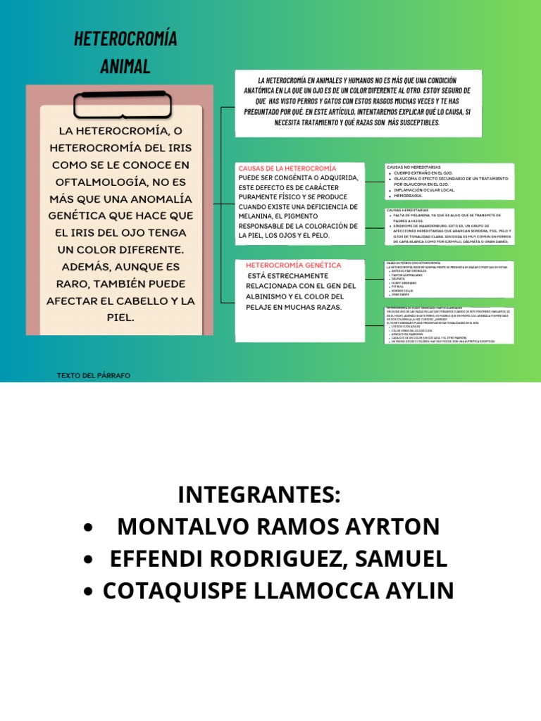 Organizador Grafico | PDF | Sistema visual | Color