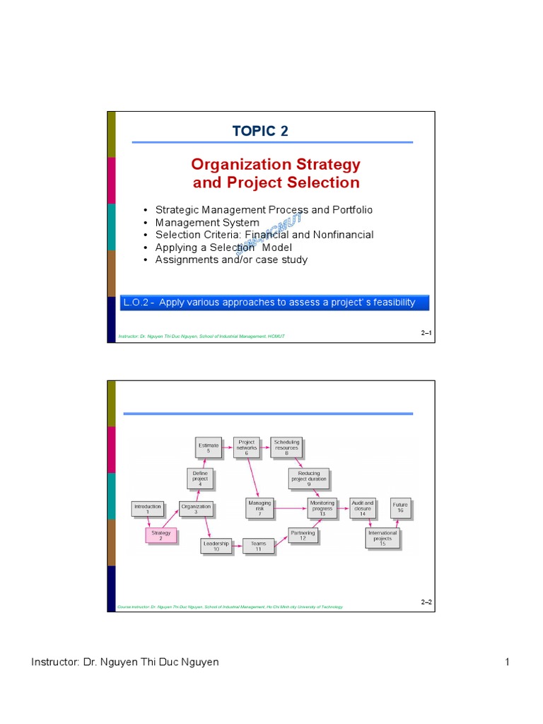 C2-Org StrategyProj select-ISB-el | PDF | Net Present Value | Internal ...