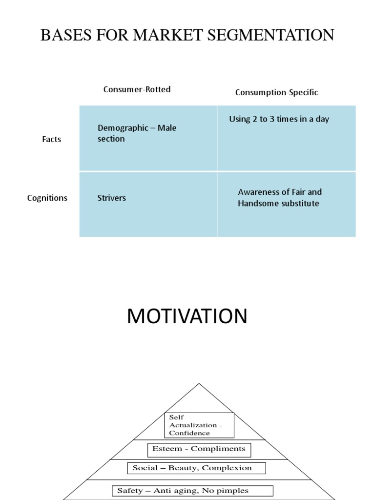 Bases For Market Segmentation | PDF | Career & Growth