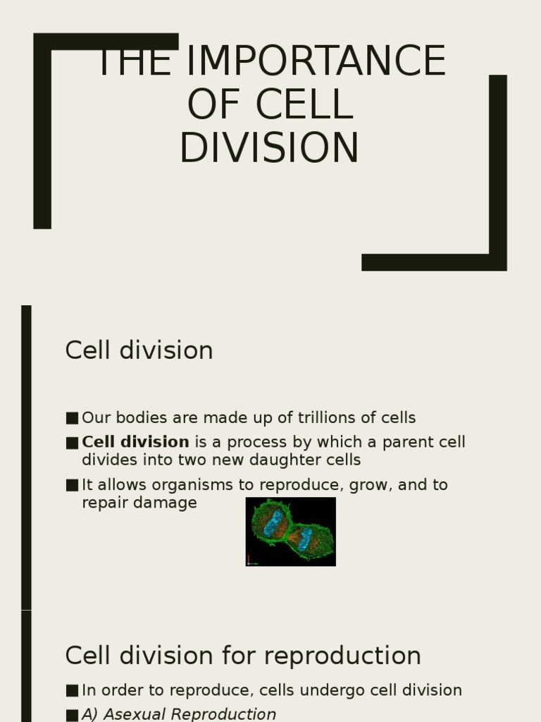 Lesson 3 The Importance of Cell Division | PDF