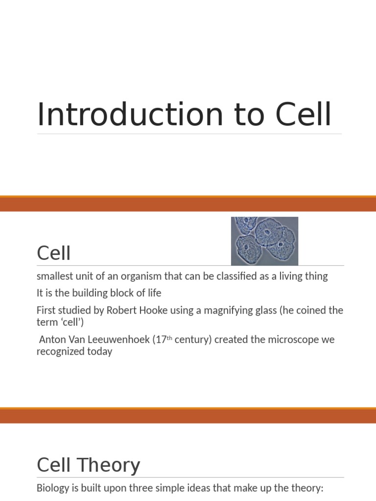 Lesson 1 Introduction To Cells | PDF | Cell (Biology) | Cytoplasm