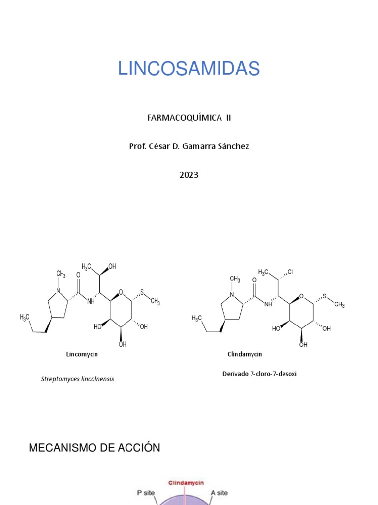 10 - 02 Lincosamidas | PDF