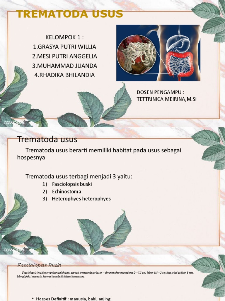 Trematoda Usus (Kelompok 1) | PDF