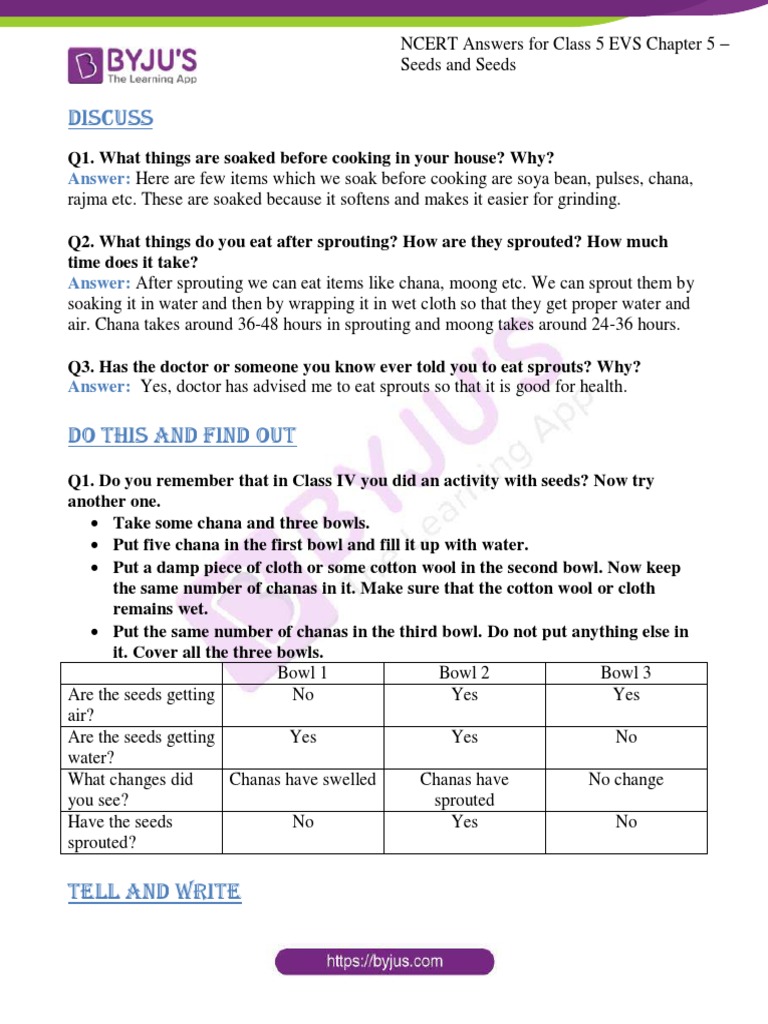 Ncert Ans Class 5 Evs ch5 Seeds and Seeds | PDF | Seed | Foods