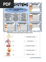 Body Systems (Grade 6) - Free Printable Tests and Worksheets ...