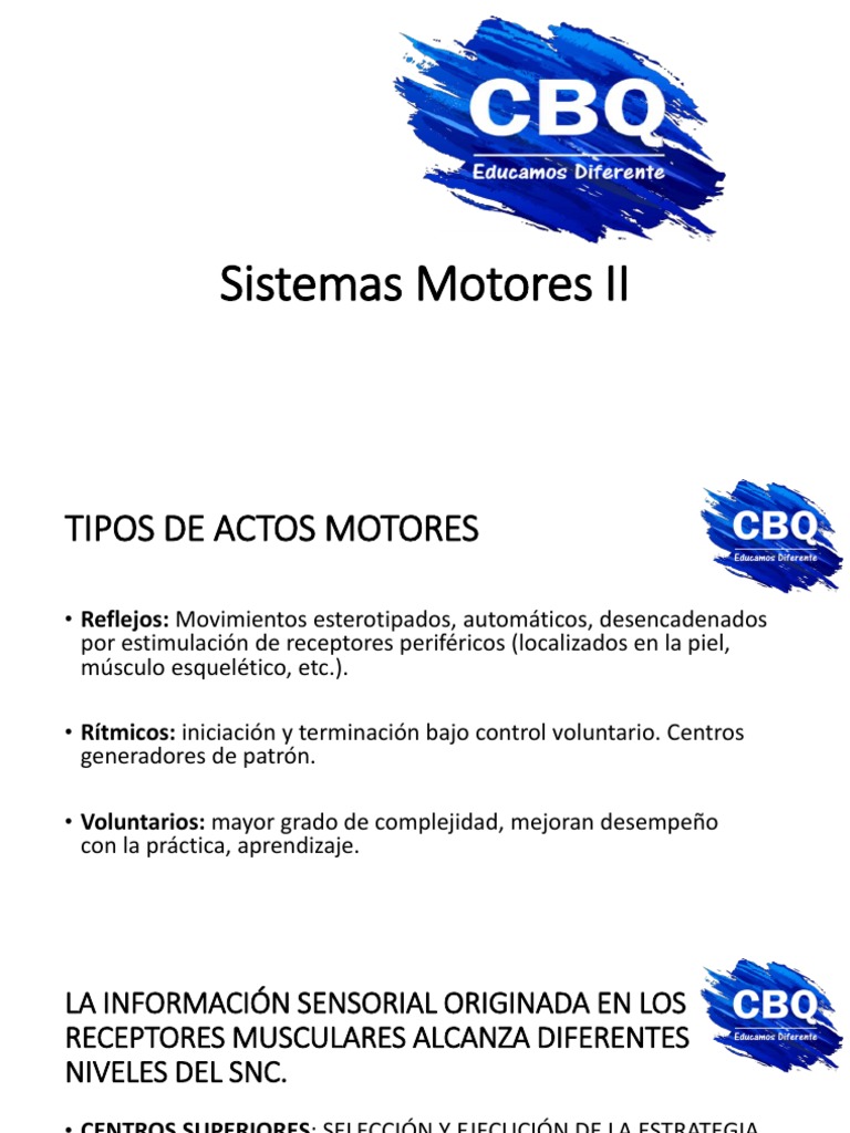 Sistemas Motores II | PDF | Cerebelo | Ganglios basales
