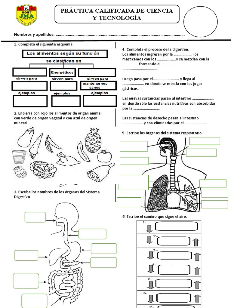 Practica de Ciencia 1 | PDF