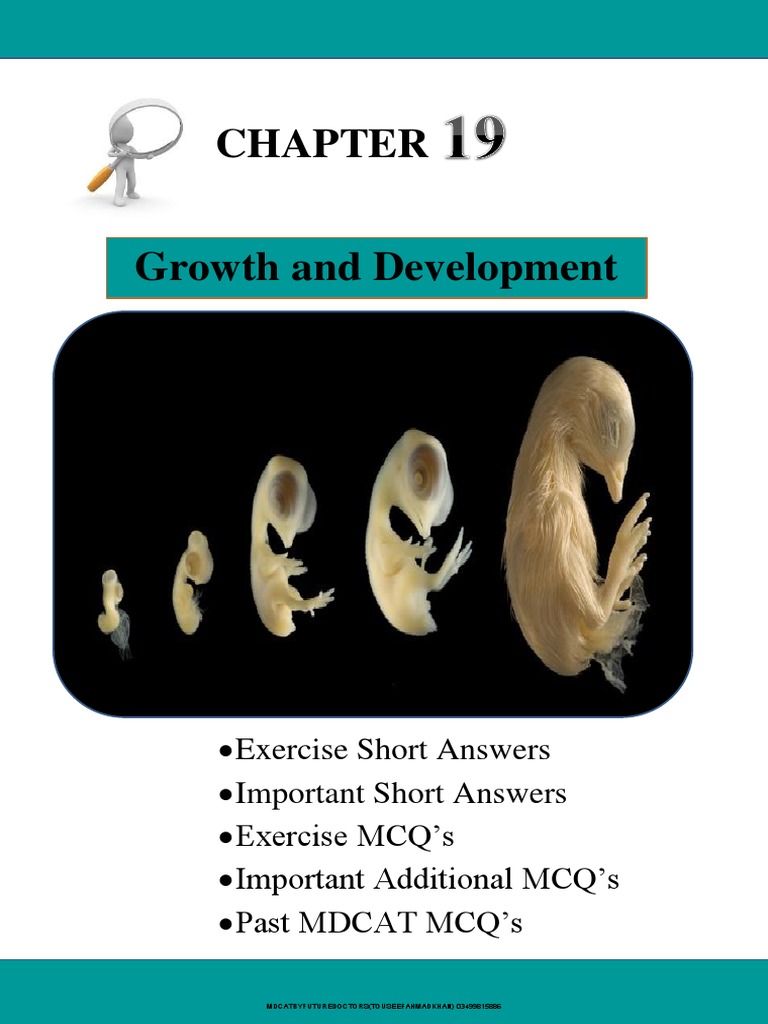 Chapter 19: Growth and Development Notes | PDF | Auxin | Embryo