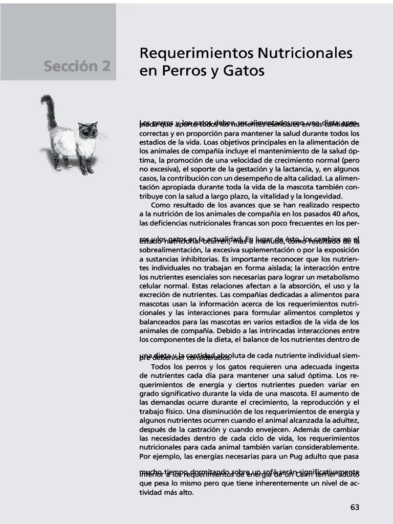 T Requerimientos Nutricionales de Los Perros | PDF | Nutrición | Dieta y nutrición