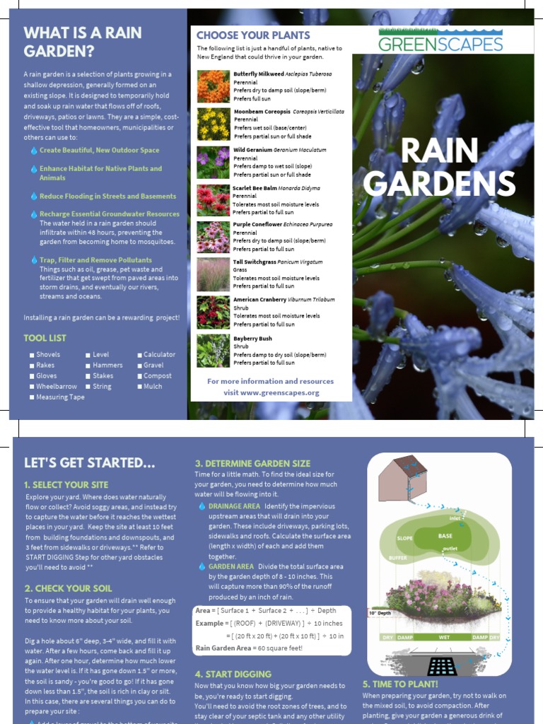 Forest Rain Garden Brochure | PDF | Soil | Agriculture