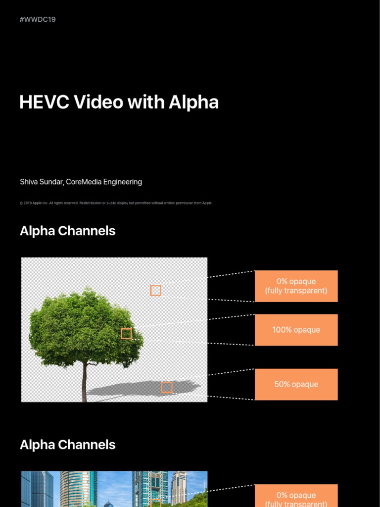 506 Hevc Video With Alpha | PDF | Computing | Computer Science