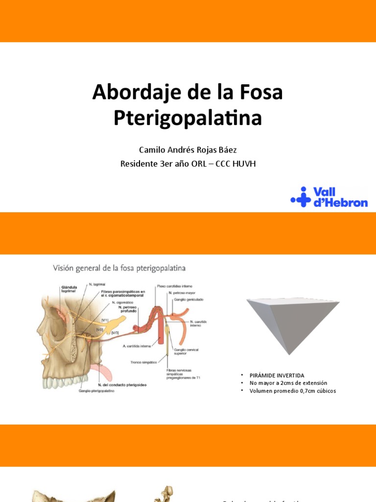 Abordaje de La Fosa Pterigopalatina | PDF | Cabeza y cuello humanos ...