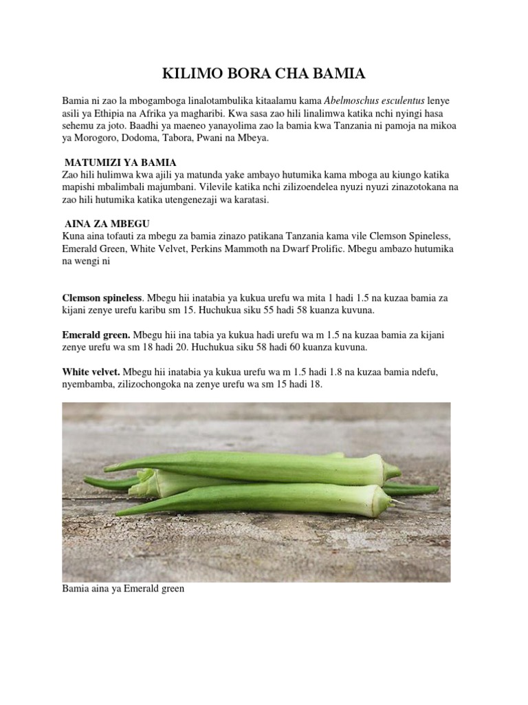 Kilimo Bora Cha Bamia | PDF