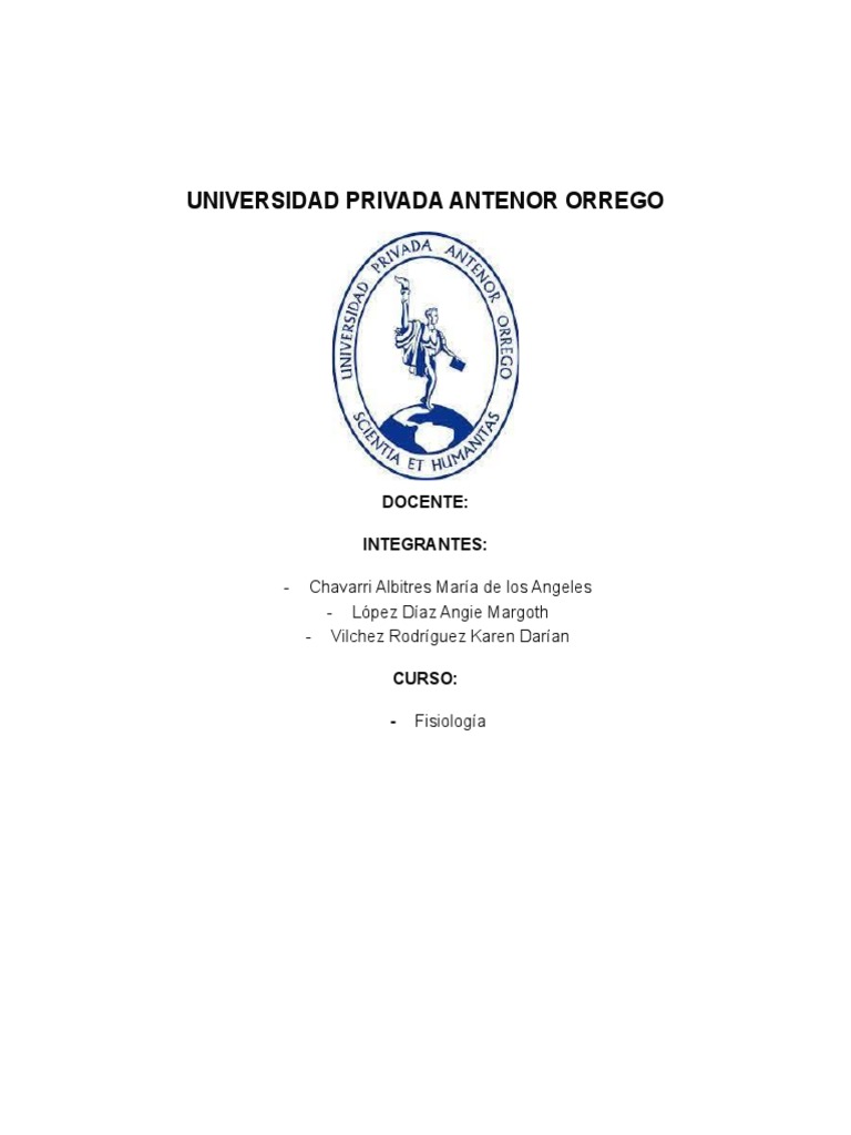Musculo Esqueletico Pdf Músculo Contracción Muscular