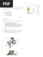 ECG Check List | PDF