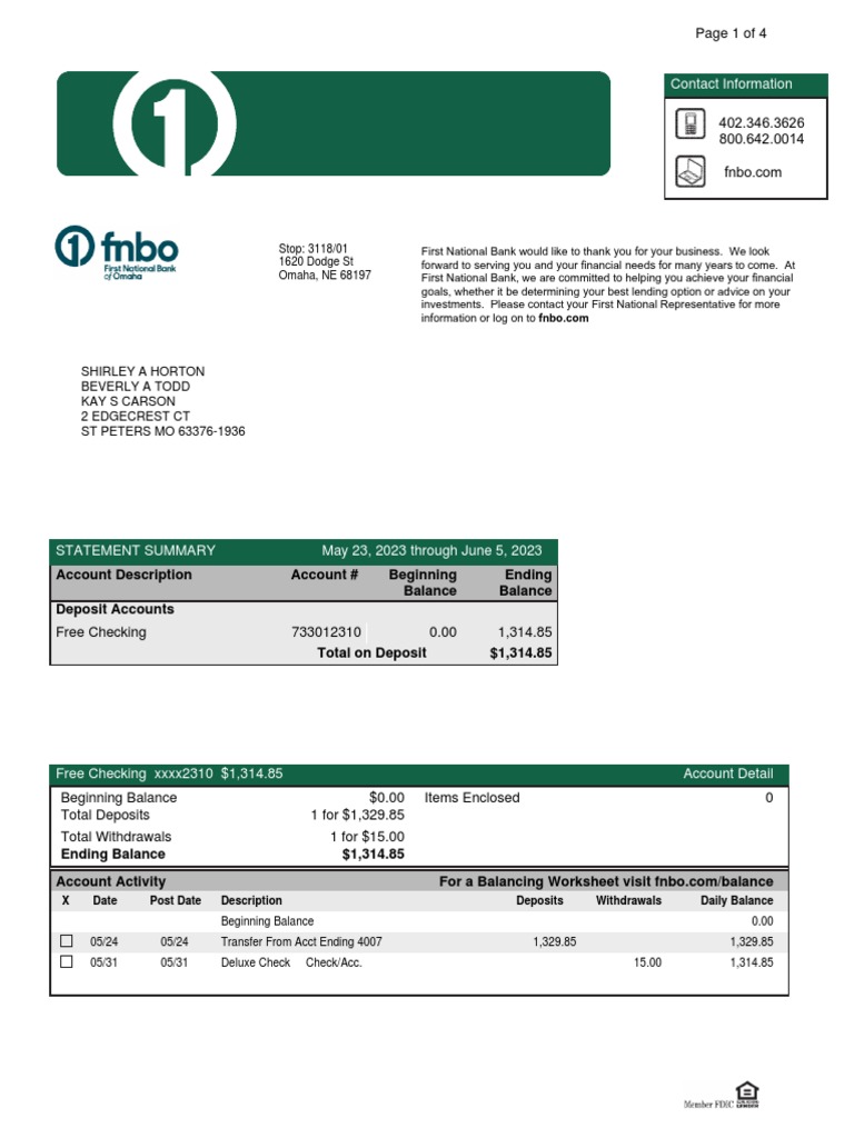 First National Bank Statement Summary | PDF | Financial Services