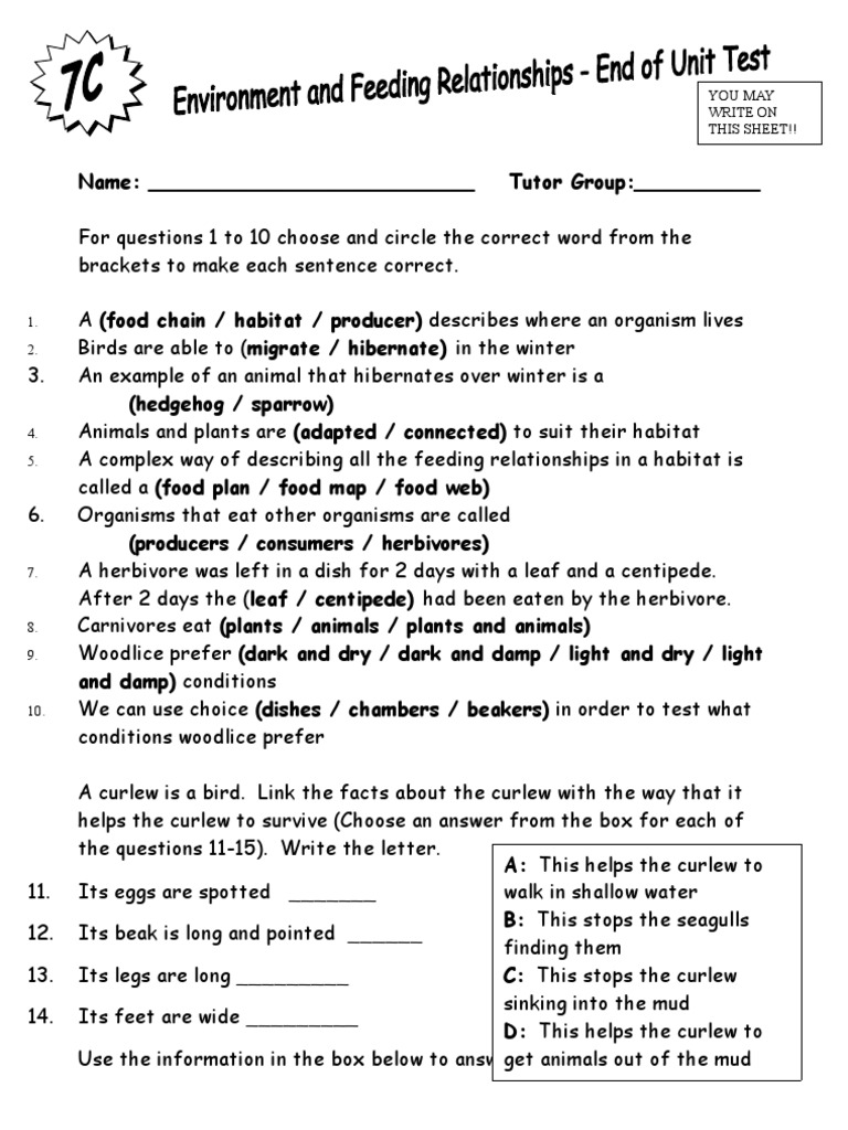 7C Environment Test SEN 2004 | Download Free PDF | Predation | Food Web