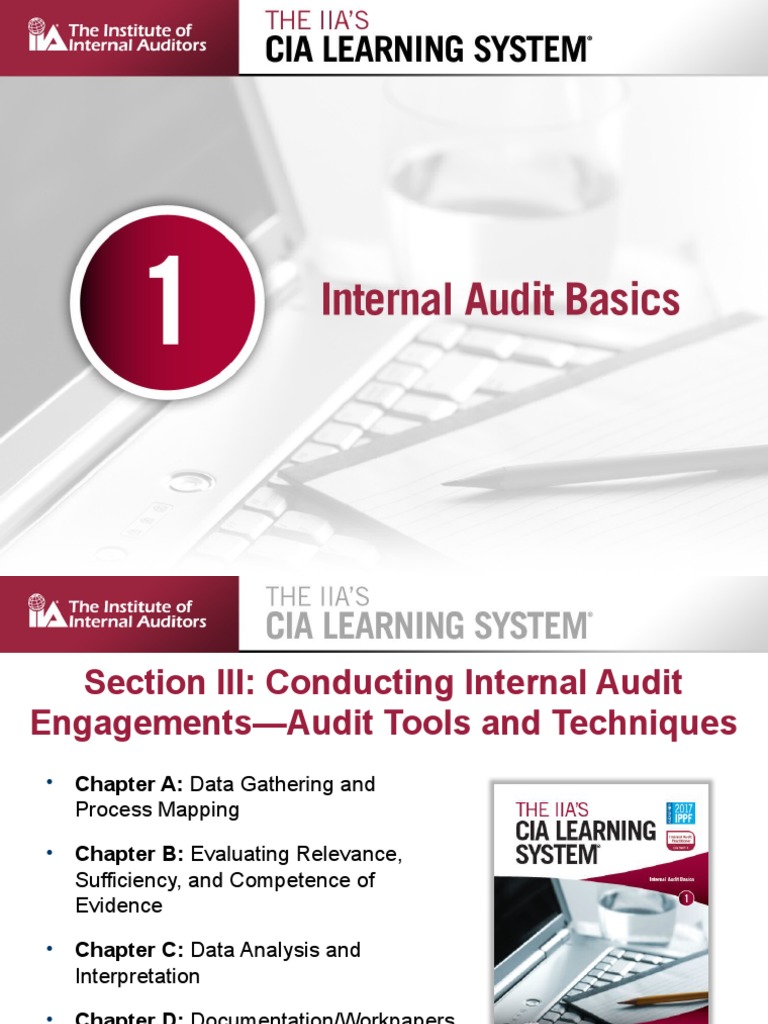 Iia CIA v5-0 Part1 Sectioniii | PDF | Sampling (Statistics) | Statistics