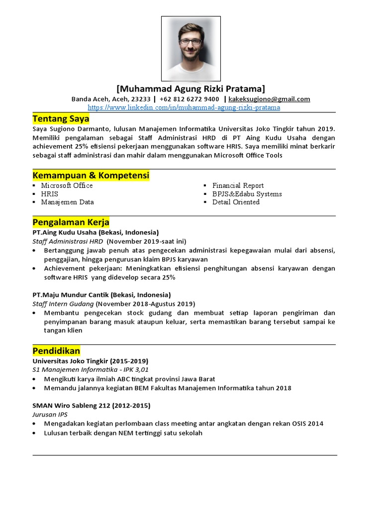Contoh CV FIX | PDF