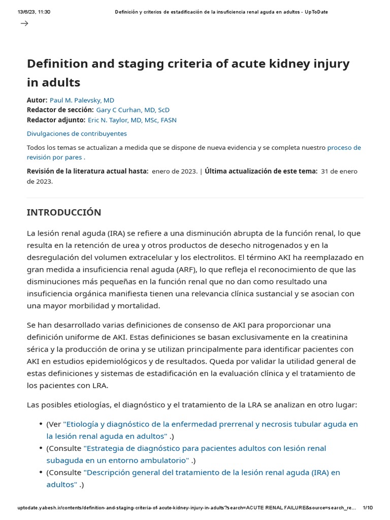 Definición y Criterios de Estadificación de La Insuficiencia Renal ...