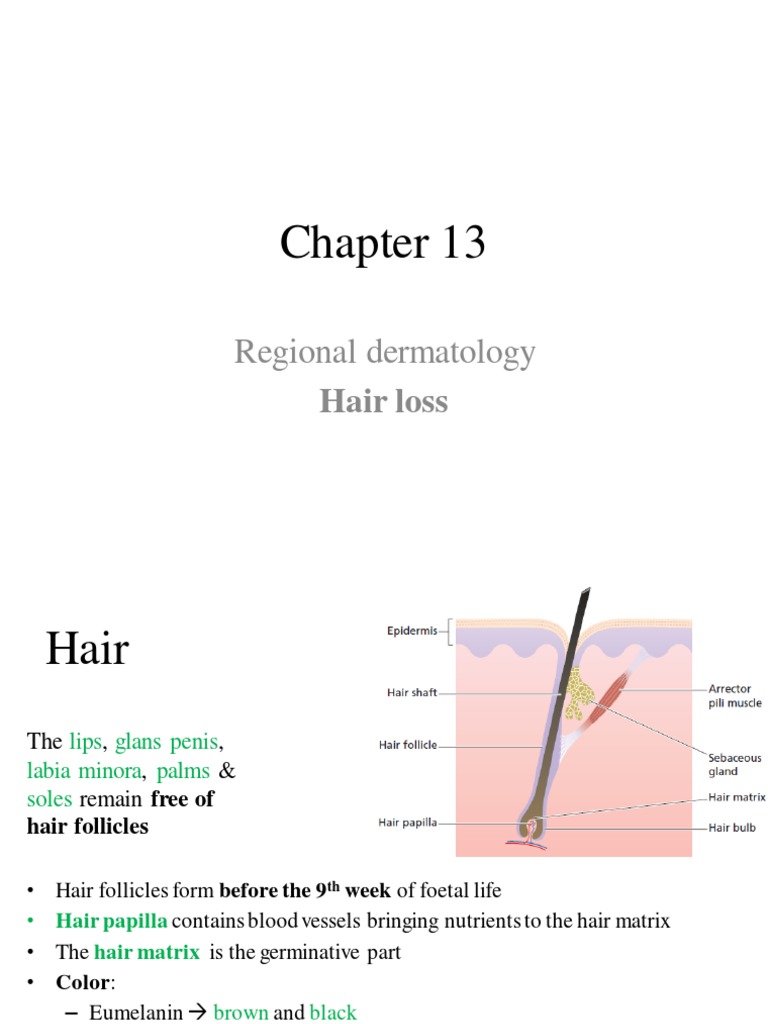 Hair Disorders | PDF | Hair Loss | Polycystic Ovary Syndrome
