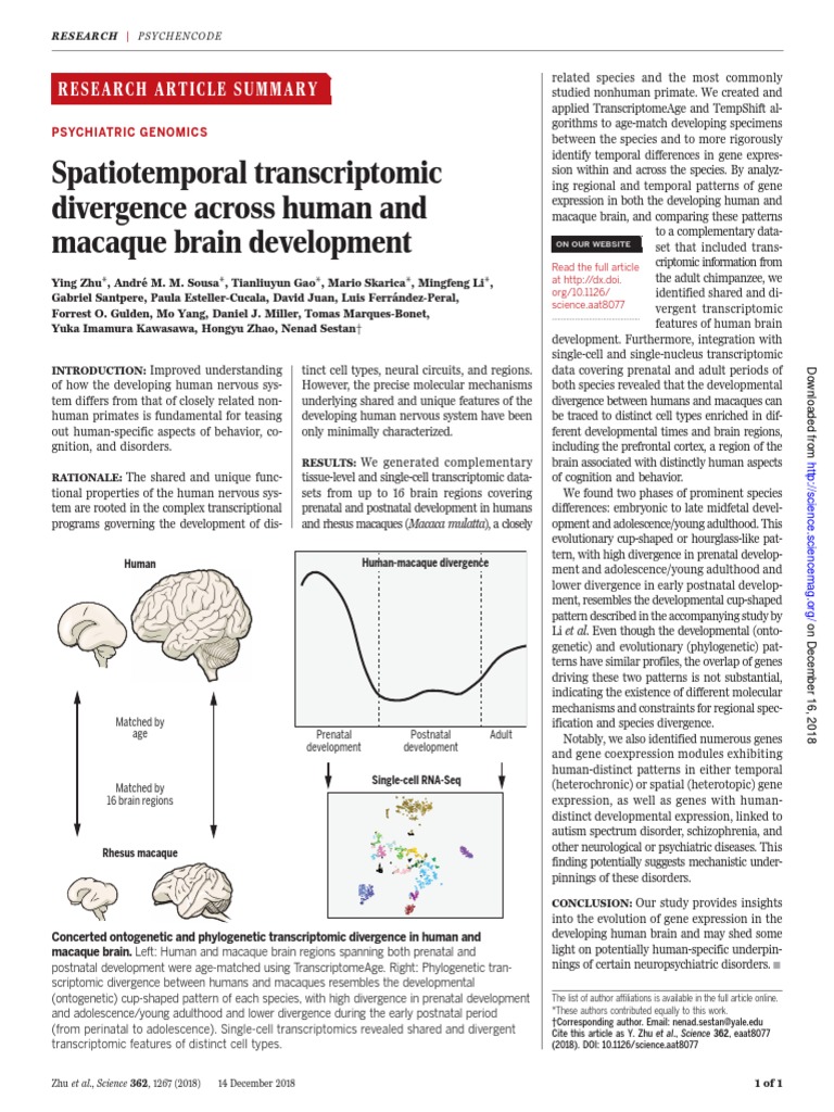 Spatiotemporal Transcriptomic Divergence Among Human And Macaque Brain