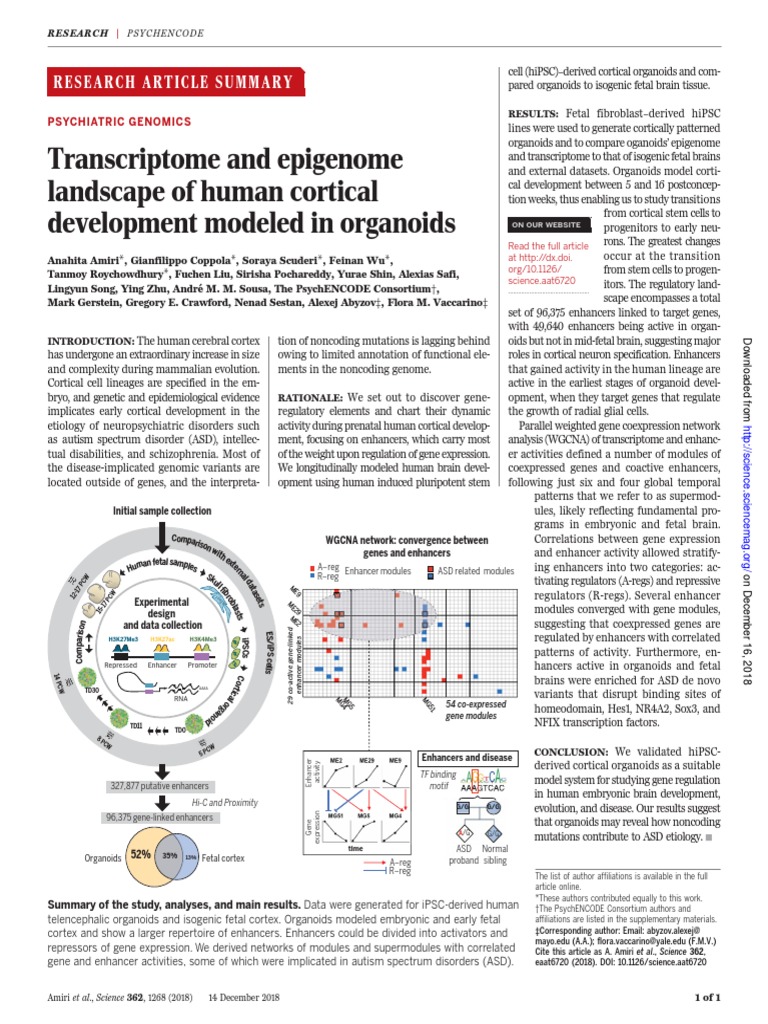 Transcriptome and Epigenome Landscape of Human Cortical Development ...