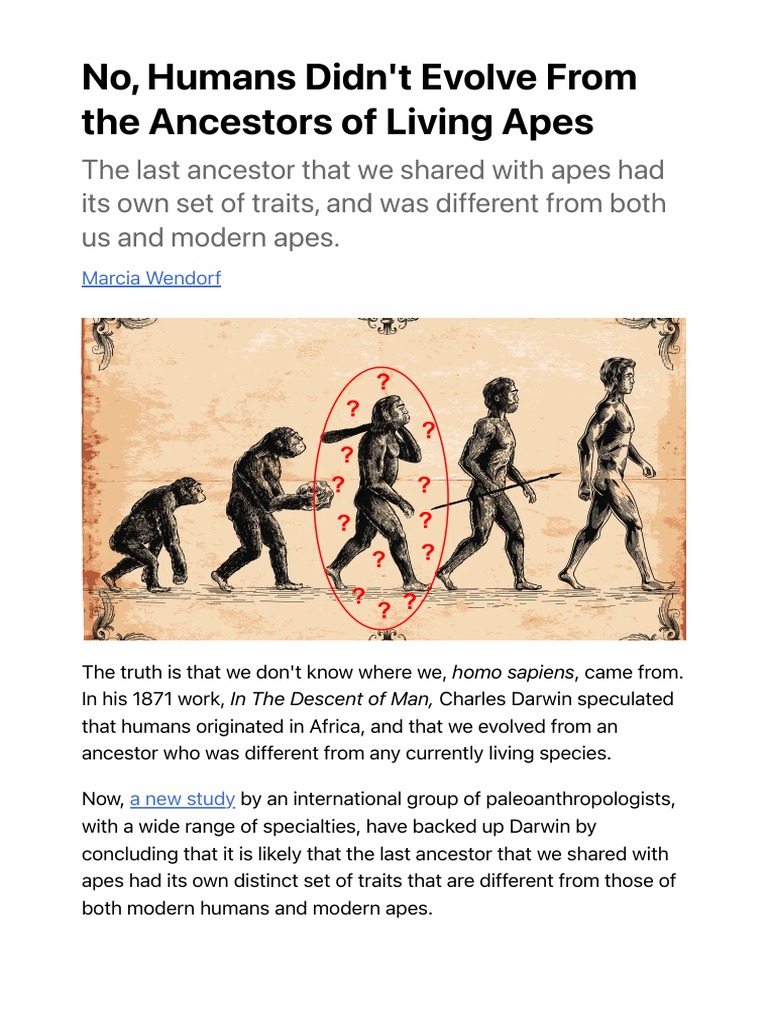 Human Ancestry: Misconceptions Explained | PDF | Ape | Hominidae