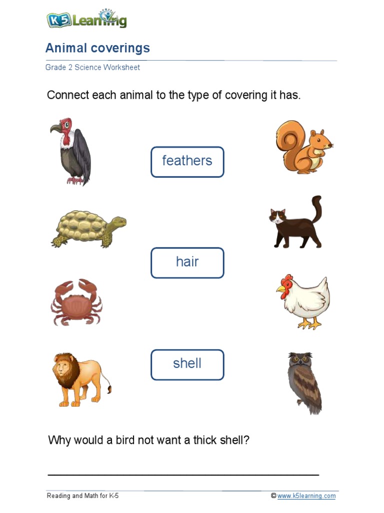 Grade 2 - Characteristics of Animals | PDF
