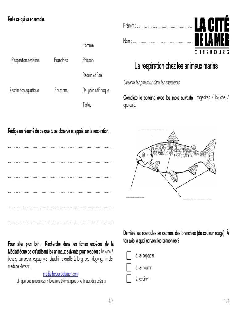 Respiration des poissons et animaux marins | PDF | Branchie | Poisson