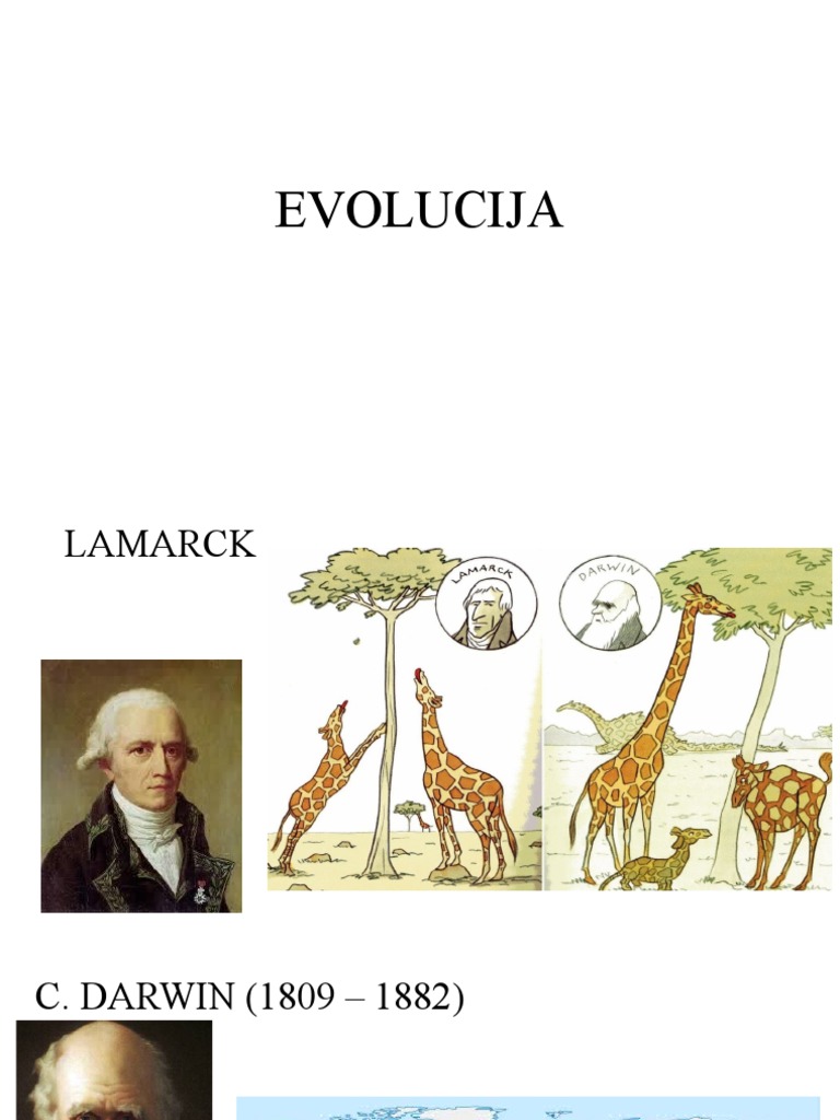 EVOLUCIJA | PDF
