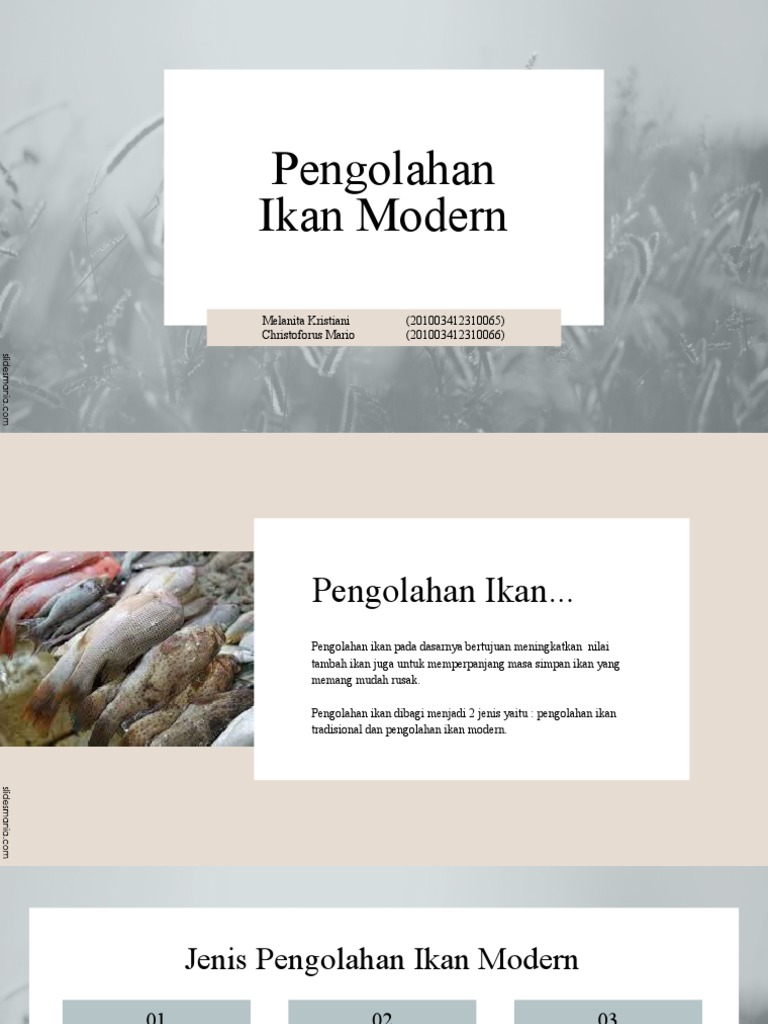 Ikan Modern | PDF