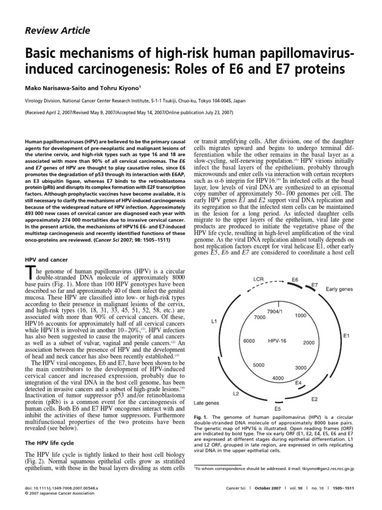 Basic Mechanisms of High-Risk Human Papillomavirus-Induced ...