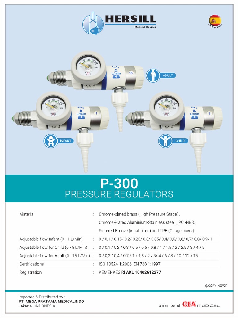 P-300 Brochure | PDF