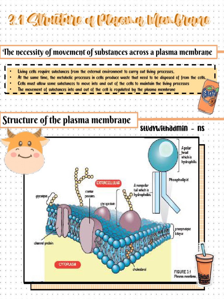 Bio CH3 F4 | PDF | Cell Membrane | Osmosis