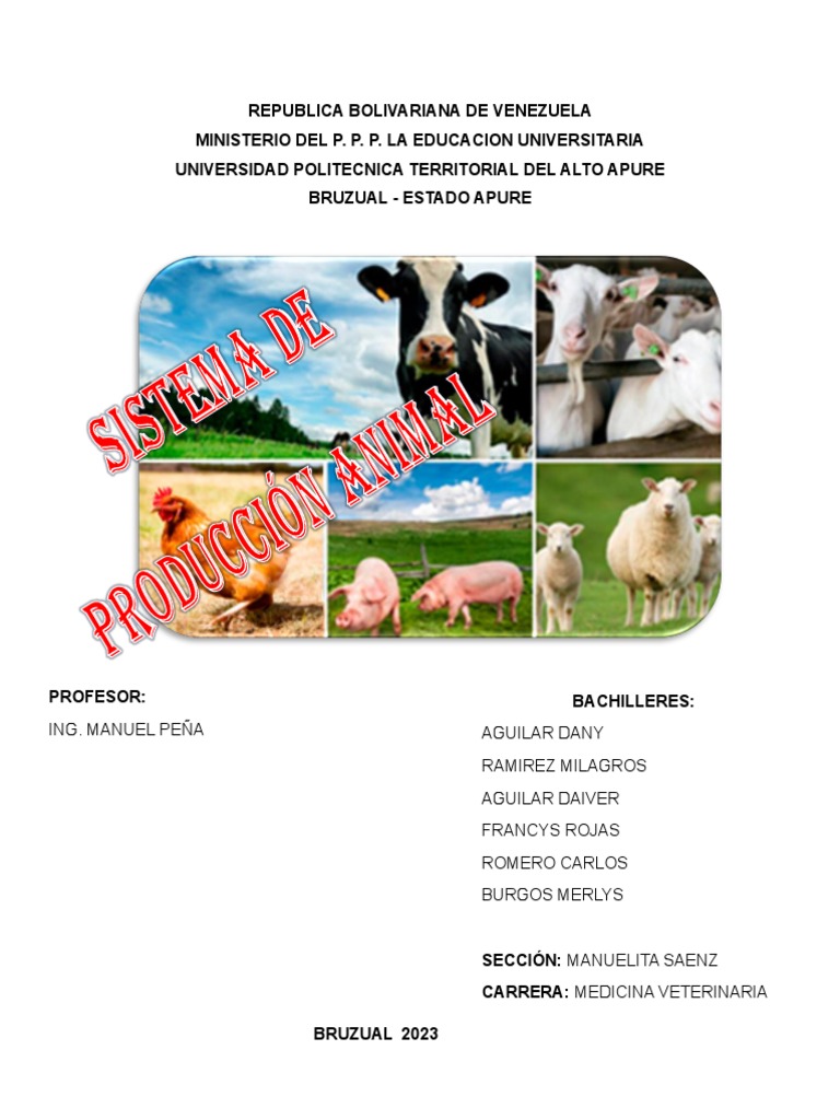 Sistemas de Producción Animal | PDF | Vacas | Pollo